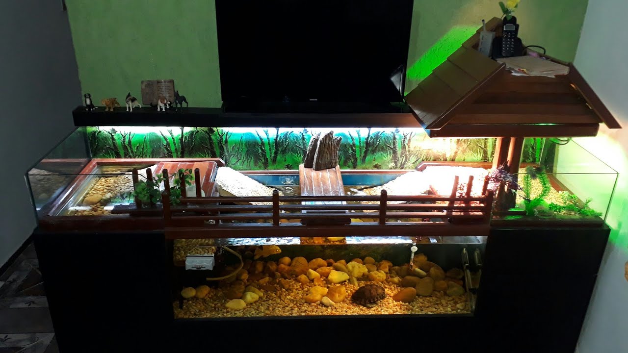 Montando meu Aquaterrário - YouTube