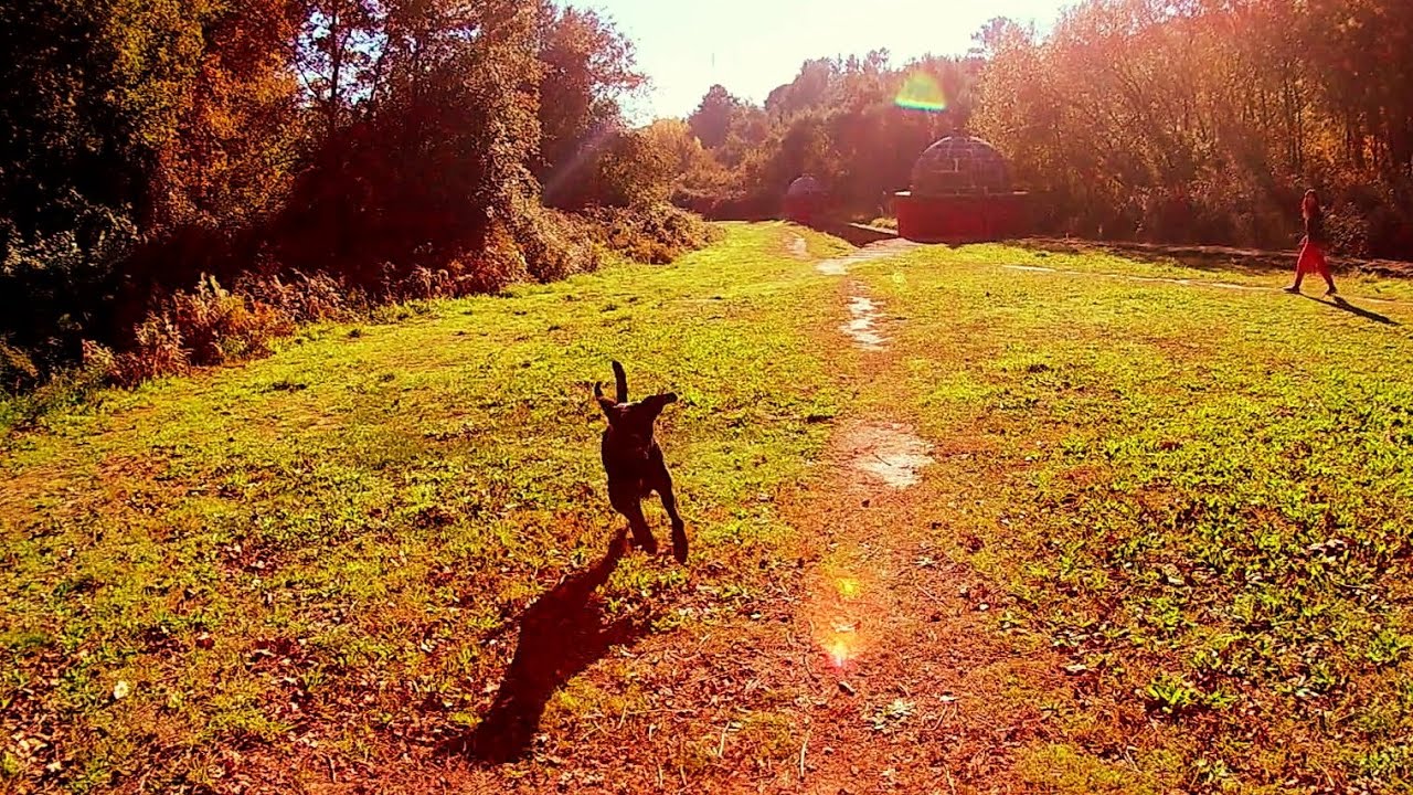 wandering about - YouTube