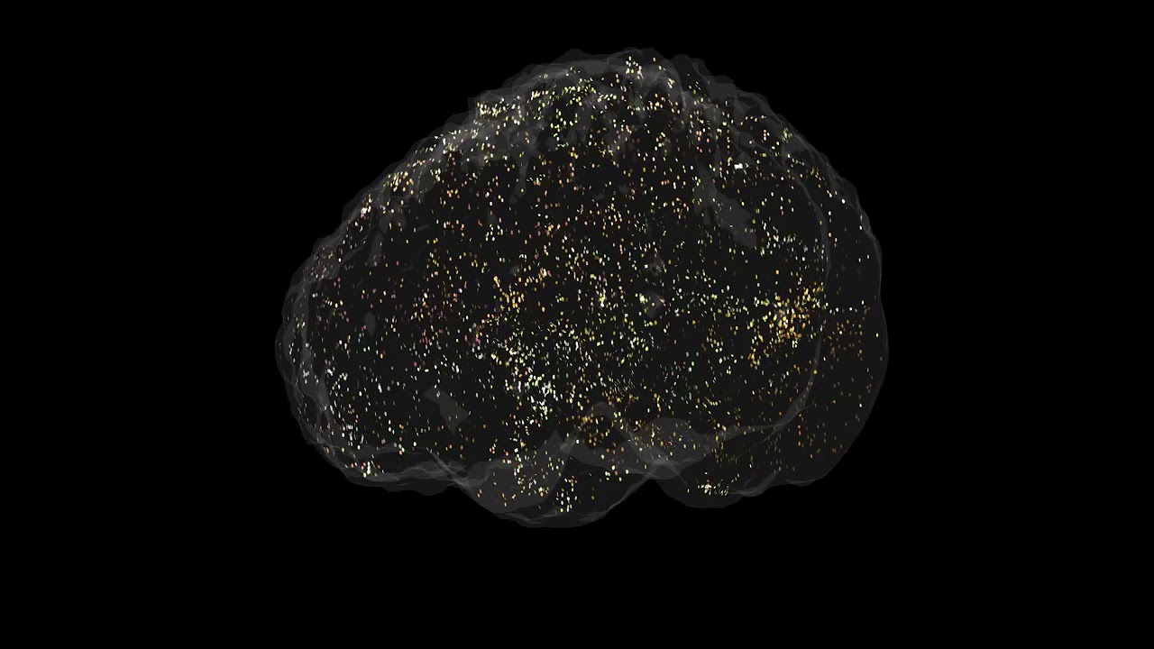 Galaxy in your brain - YouTube