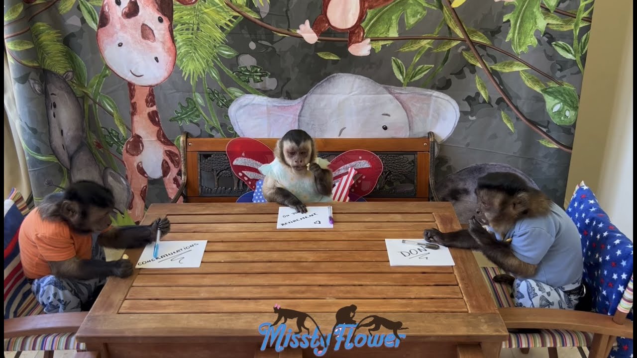 Happy Sunday from 3 Monkeys & Congratulations to Don! - YouTube