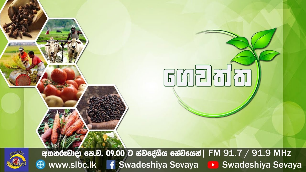 SLBC | Swadeshiya Sevaya | Gewaththa | 2024 - 03 - 12 - YouTube