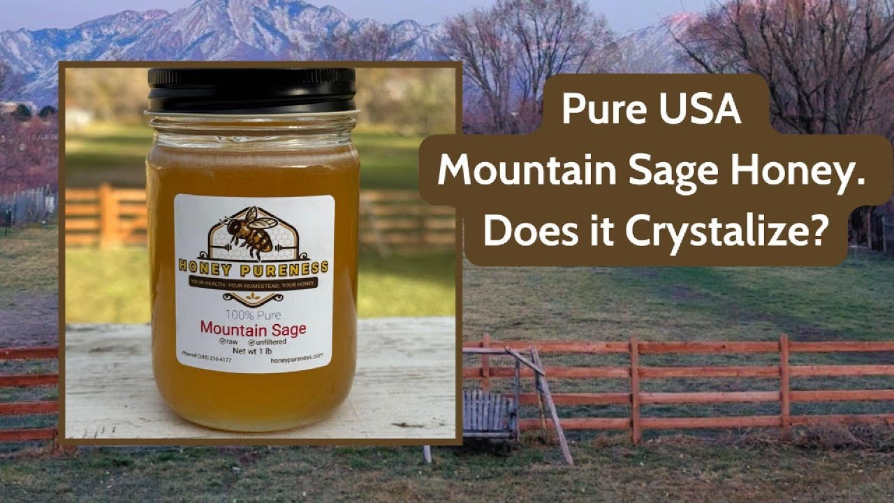 Pure USA Mountain Sage Honey - YouTube