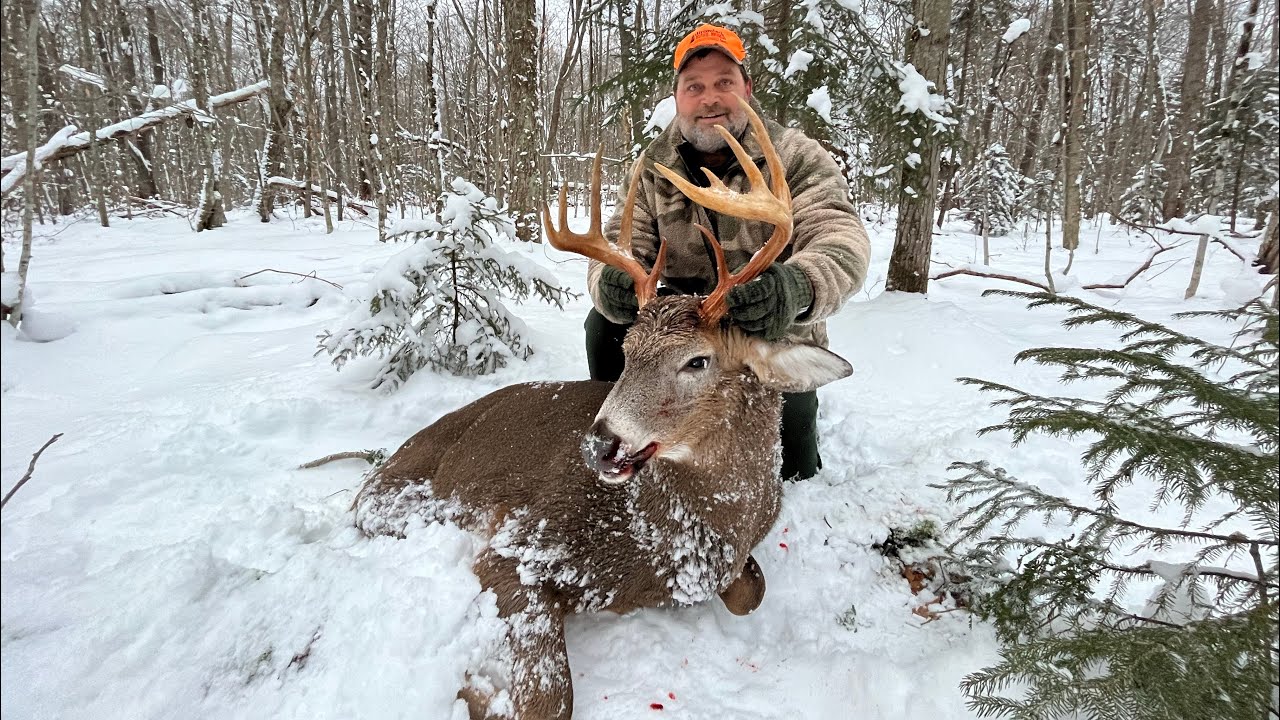 Adirondack 11 point buck - YouTube