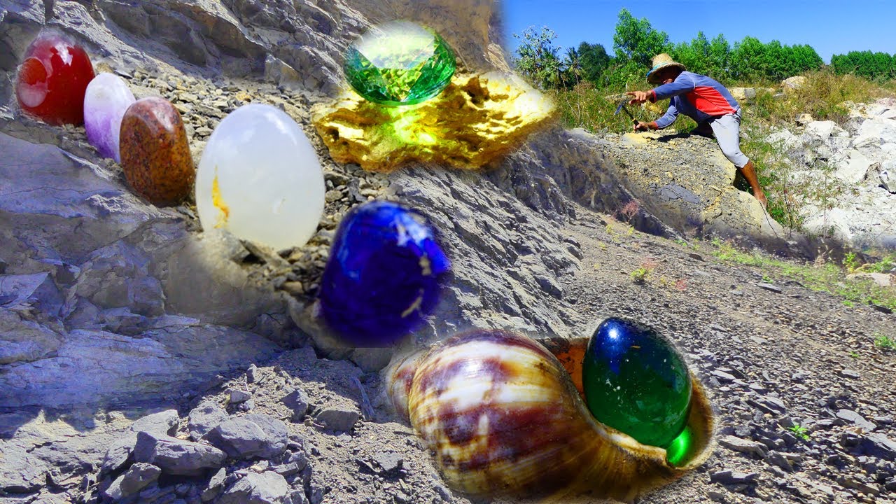 The process of digging the best gems in snail. Hoping for professional ...