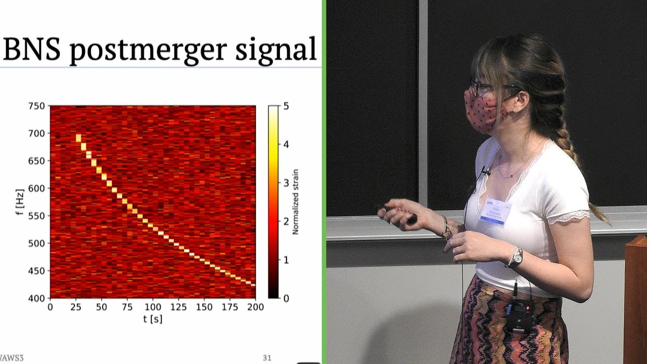 Sylvia Biscoveanu - Power Spectral Density Uncertainty and Gravitational-Wave Parameter ...
