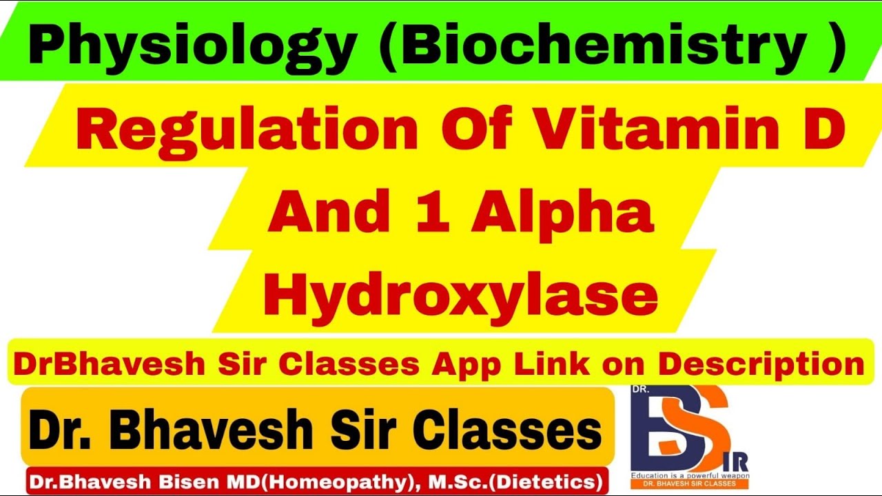 Regulation Of Vitamin D And 1 Alpha Hydroxylase | Functions of Vitamin ...