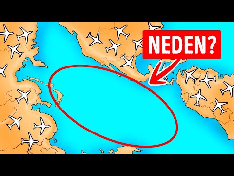 Bir Şey Uçakların Okyanusların Üstünden Uçmasını Engeller