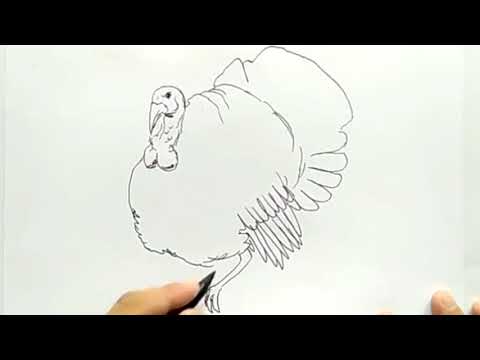 Hindi resmi nasıl çizilir