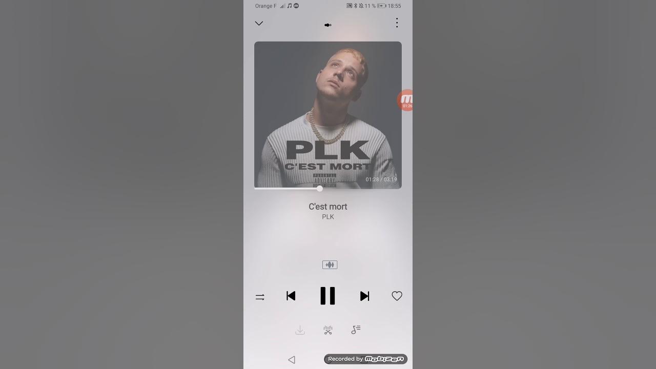 PLK - C'est mort - YouTube