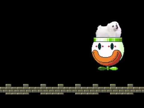 Super Bork World - YouTube