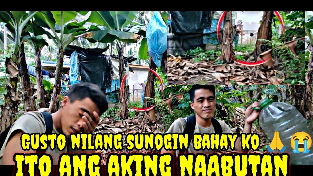 Sinunug Yung Bahay ko🙏😭😭#intense #kritikal #viral #gcash 09939740070 ...