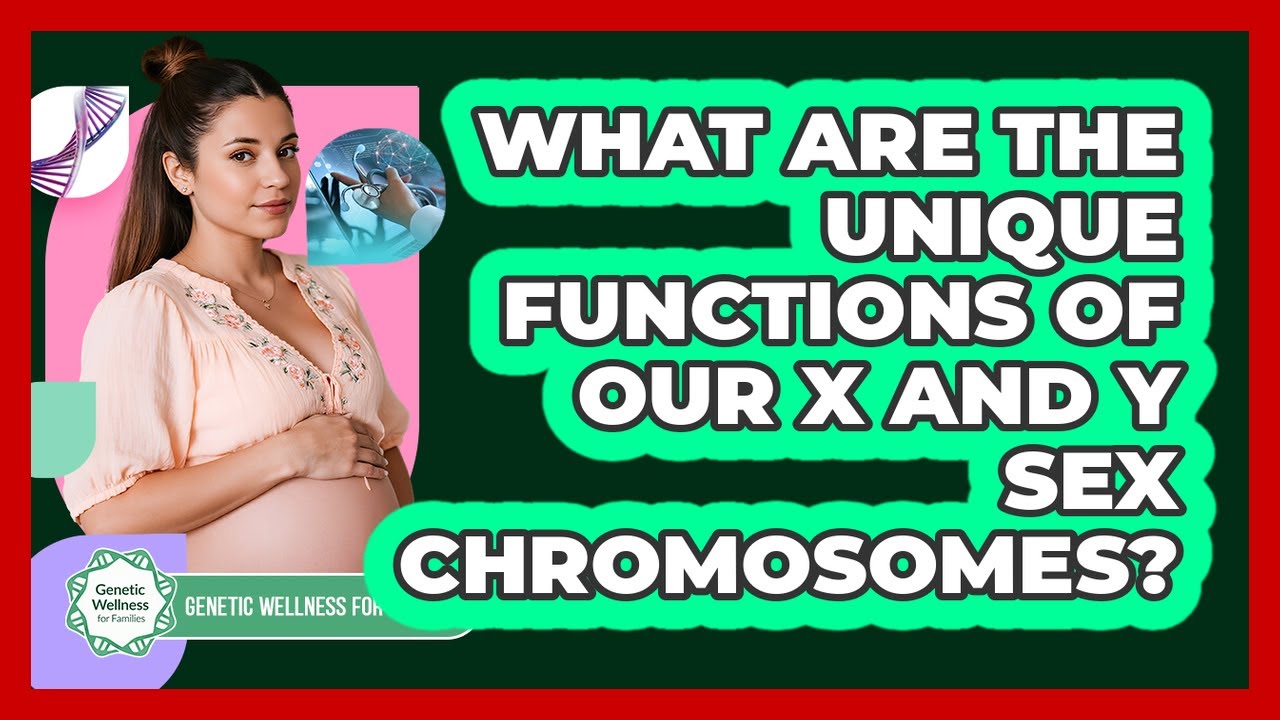 What Are The Unique Functions Of Our X And Y Sex Chromosomes Genetic