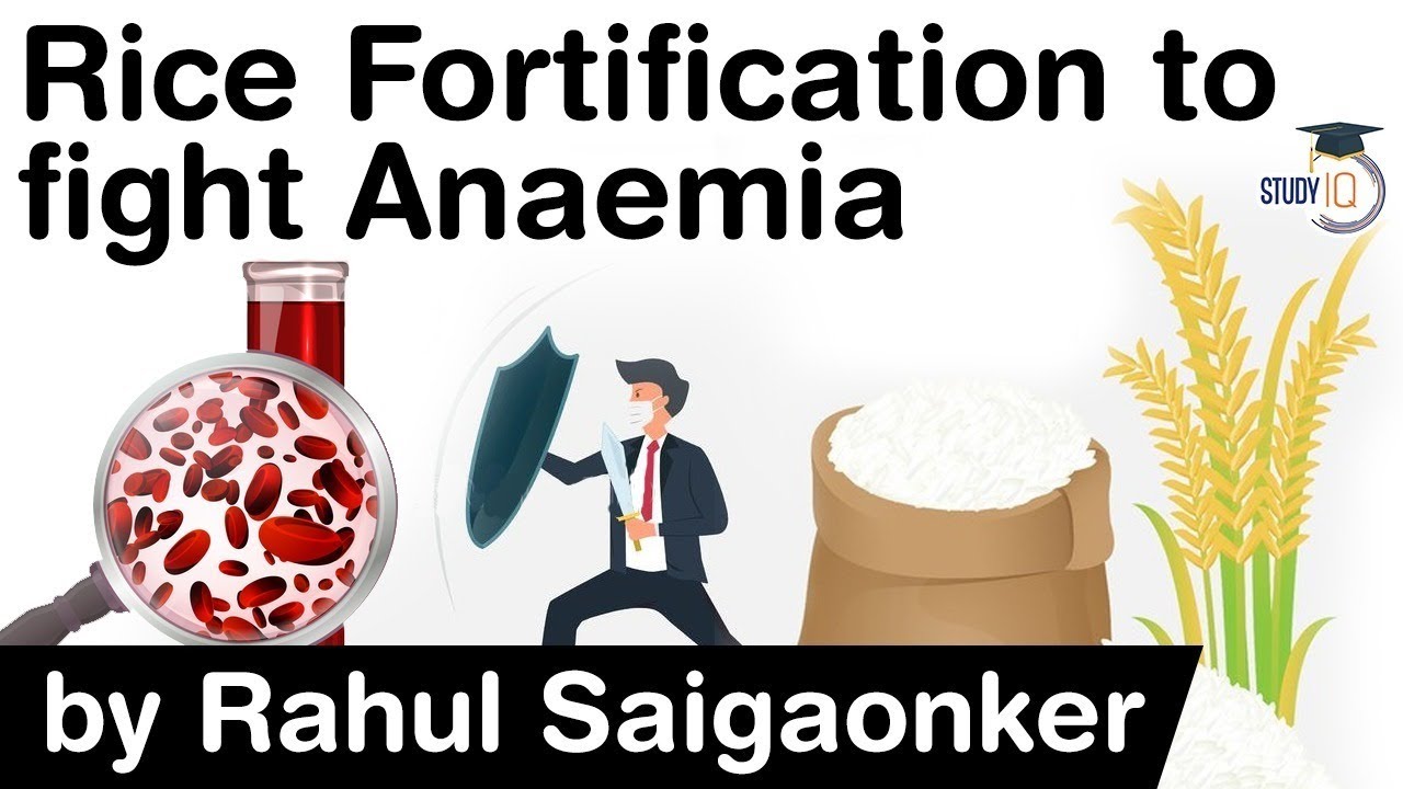 What is Rice Fortification? India to make fortification of rice ...