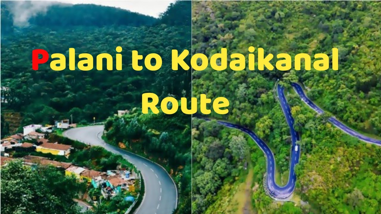 Palani to Kodaikanal Route🤩 #route #kodaikanal #palani #road #roadtrip ...