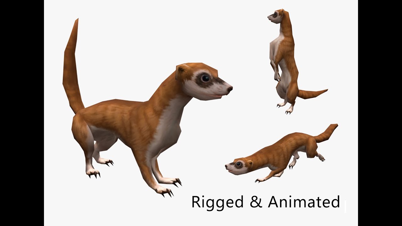 3D Animated Weasel - YouTube