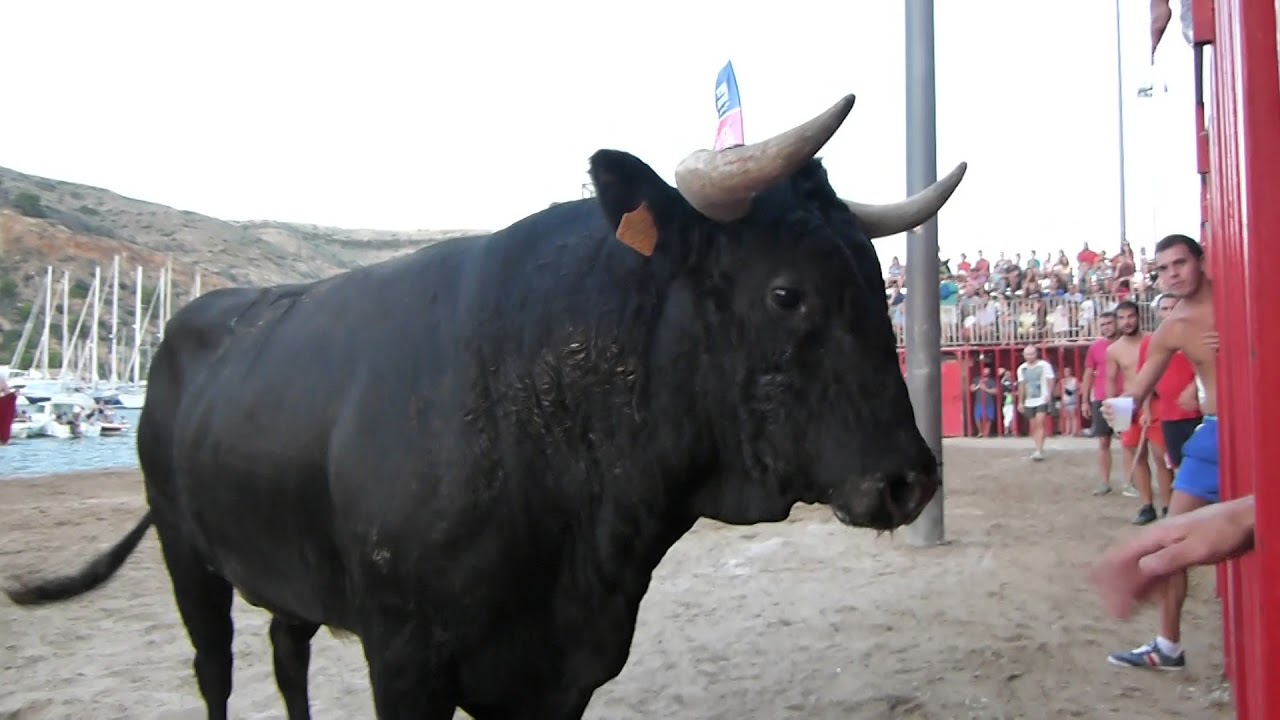 Bull Run Javea Spain 2017 - YouTube