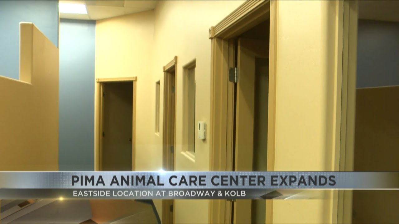 Pima Animal Care Center expands with eastside Tucson location - YouTube