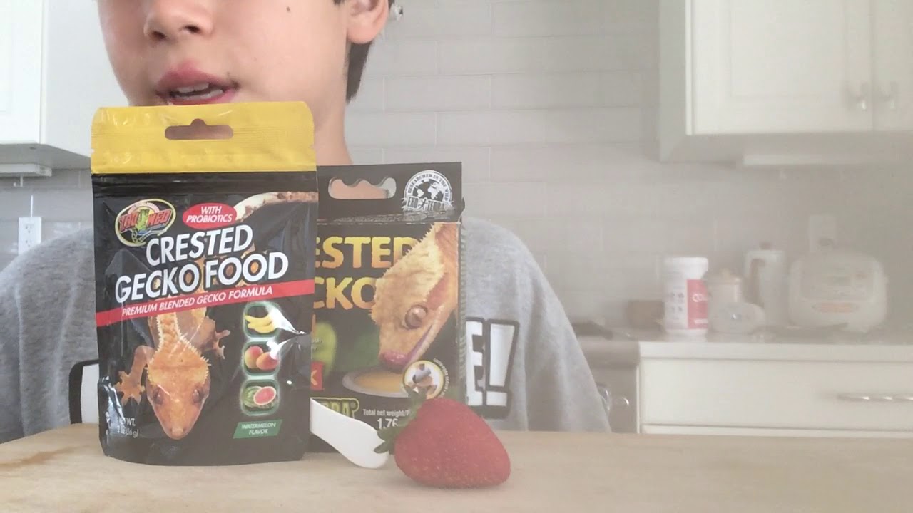 How to. Make Pangea for your crested gecko - YouTube