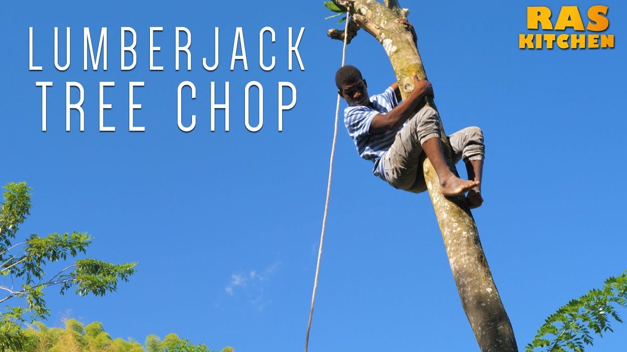 Lumberjack Tree Chop, Jamaica Style! - YouTube