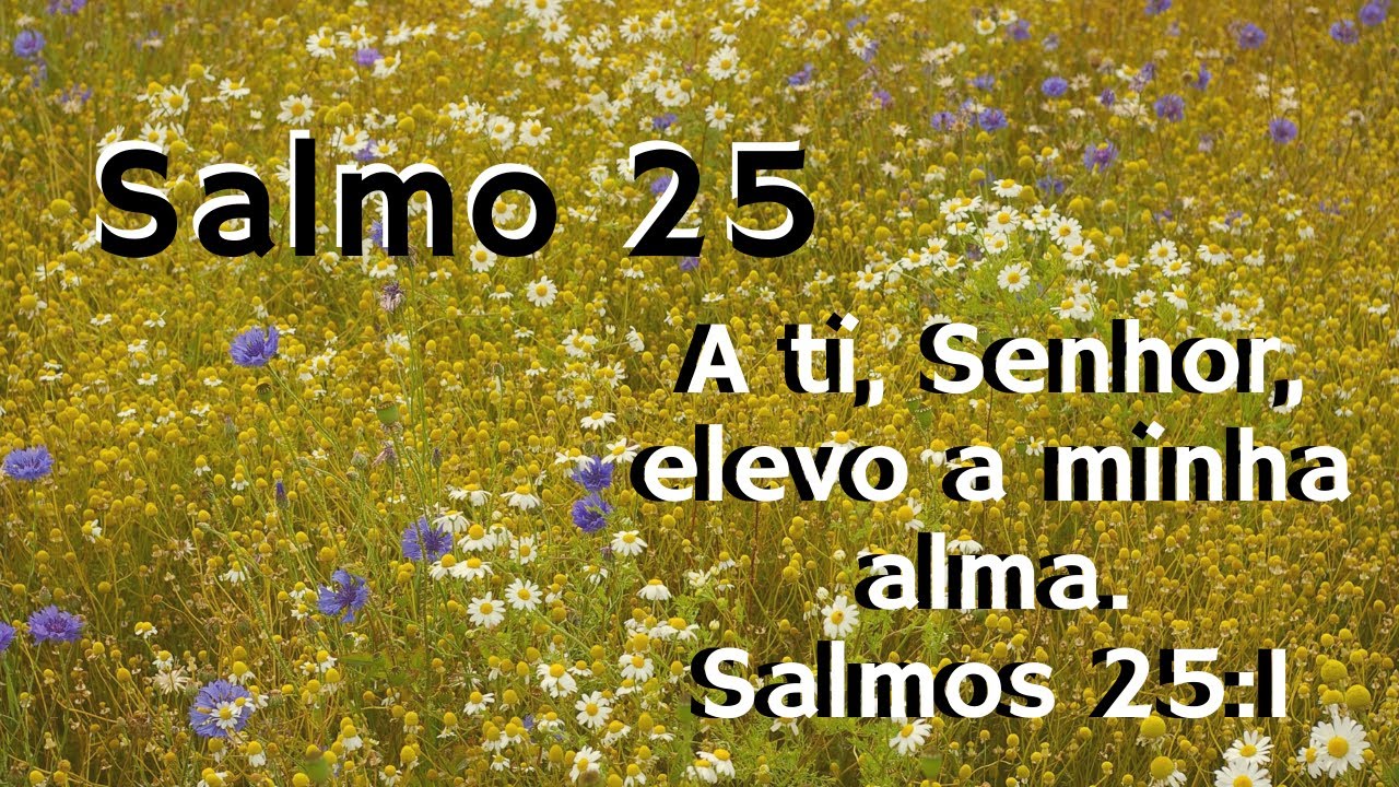 Salmos 25 -Salmos 25 Estudo! - YouTube