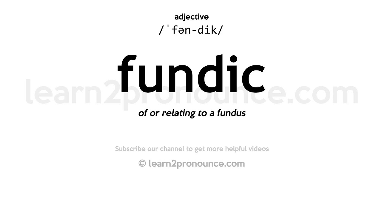 Pronunciation of Fundic | Definition of Fundic - YouTube