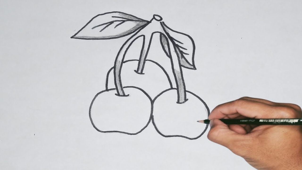 Menggambar sketsa buah yang mudah || belajar menggambar sketsa untuk ...