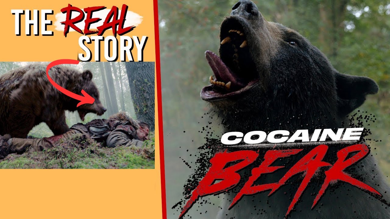 cocaine bear trailer reaction mashup | Cocaine Bear Reaction - YouTube