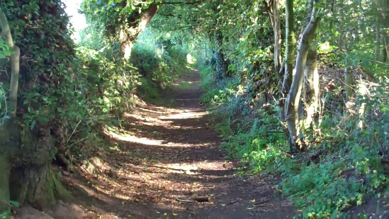 Smiths Farm Bishops Offley Stafford - YouTube