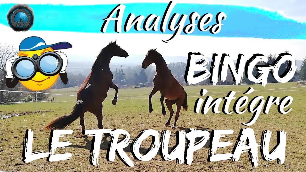 Bingo et Django ensemble?Ca ne se passe pas comme prévu!! - YouTube