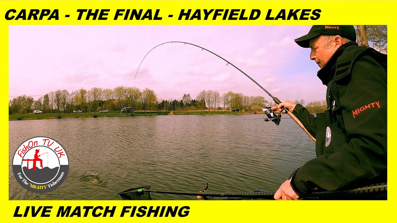 CARPA - THE FINAL! - Live Match Fishing - Hayfield Lakes - YouTube