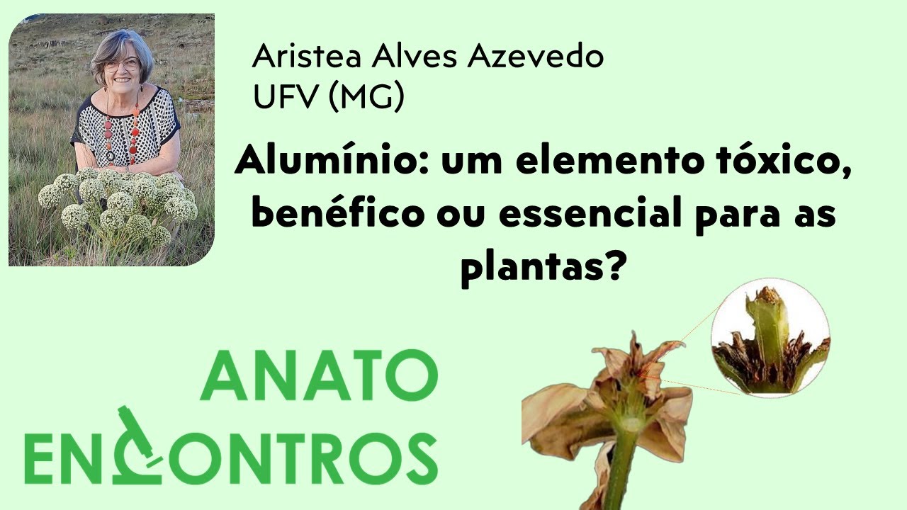 Alumínio: um elemento tóxico, benéfico ou essencial para as plantas ...