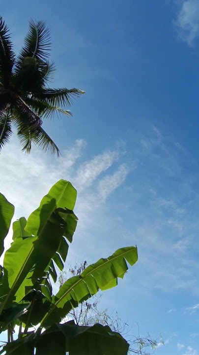 Beautiful view part 3 - YouTube