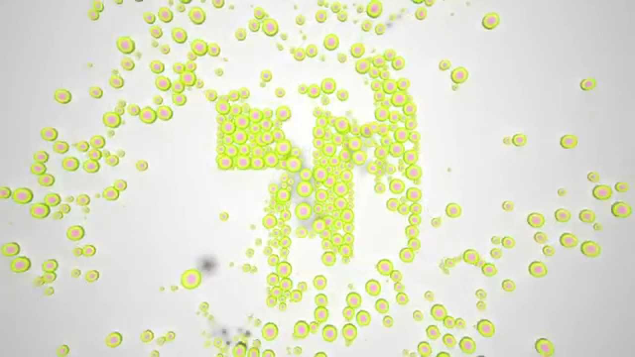 hi! - particle animation in maya using force fields - YouTube