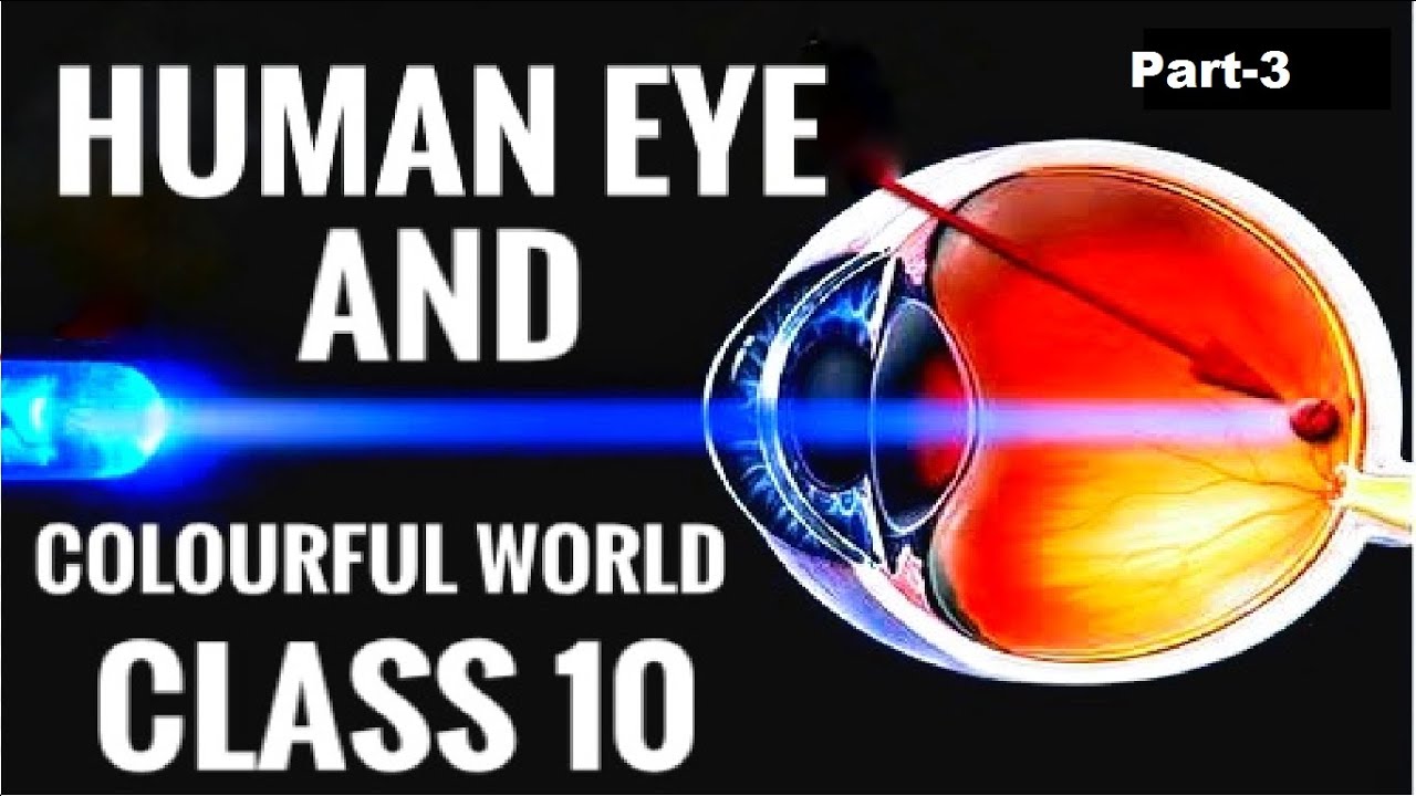human-eye-and-colourful-world-class-10-science-part-3-hindi-english