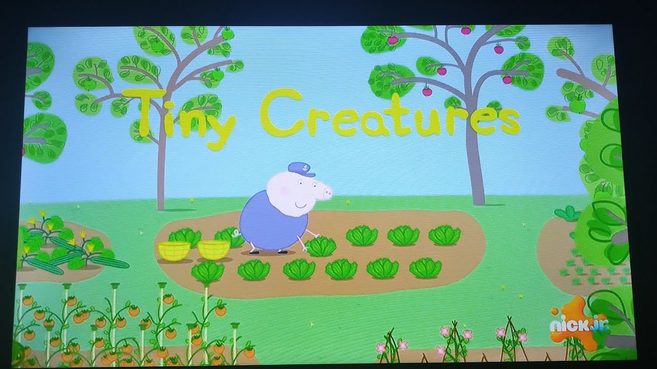 Tiny Creatures Title Card - YouTube