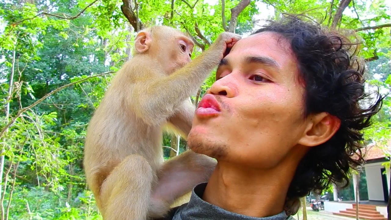 Have fun with the monkeys in Sovana. They are so lovely. - YouTube