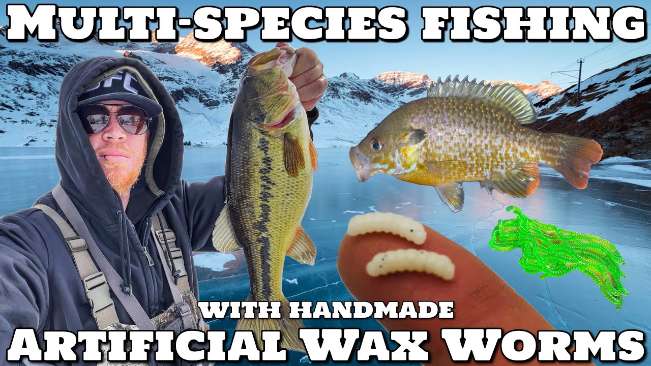 Multi Species Ice Fishing with Artificial Wax Worms - YouTube