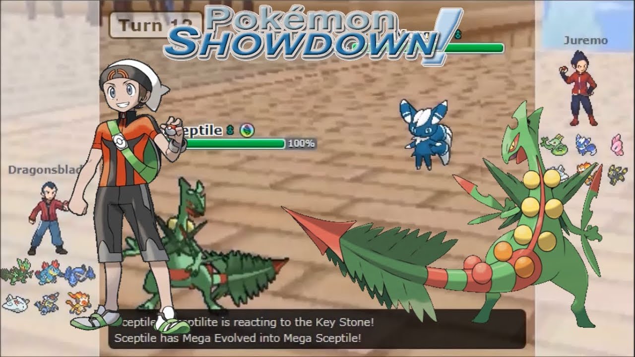 Pokemon Emerald Brendan Team