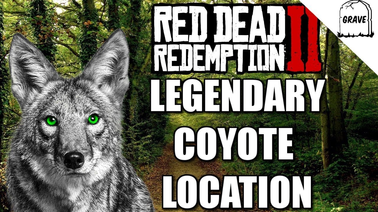 Legendary Coyote Location Red Dead Redemption 2 (RDR2 Hunting Guide ...