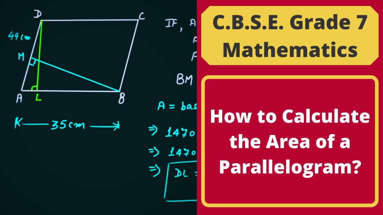 How to Calculate the Area of a Parallelogram? || Mensuration || C.B.S.E ...