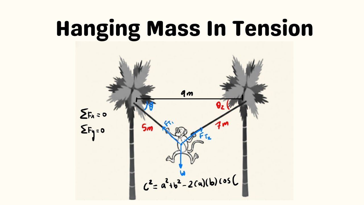 Mass Hanging by 2 Ropes | 2D-Equilibrium | Physics & Calculus - YouTube