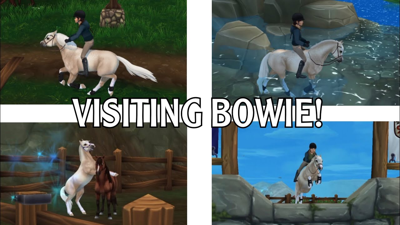 VISITING BOWIE! || GALLOPING, SWIMMING, AND MORE!! || SSO RRP - YouTube