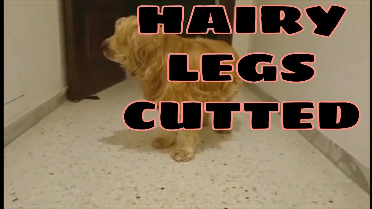 HAIRY LEGS CUTTED | KALBO NA - YouTube