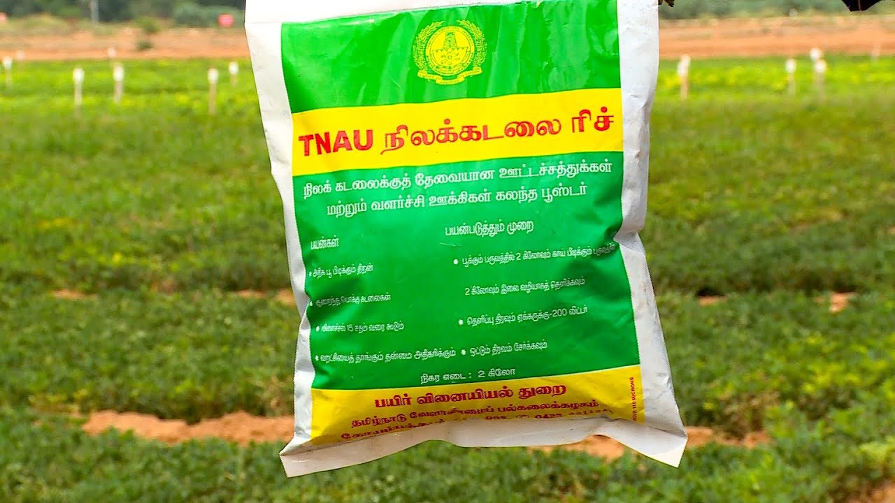 TNAU Groundnut Rich - YouTube