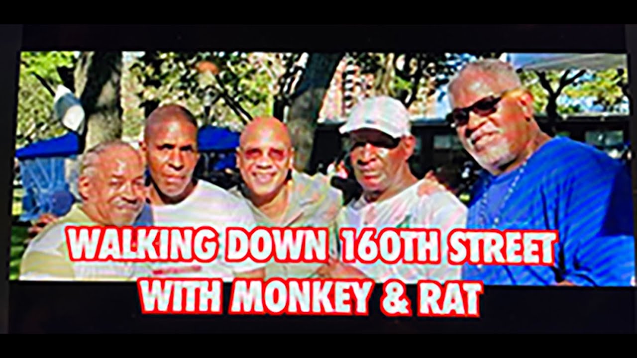 Walking Down 160th Street with Monkey & Rat SD 480p - YouTube