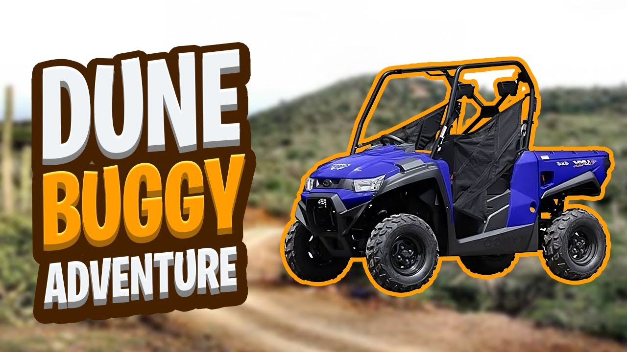 EPIC ARUBA DUNE BUGGY ADVENTURE - YouTube