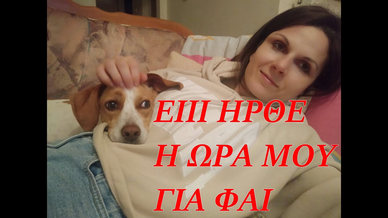 ΠΟΣΟ ΑΝΥΠΟΜΟΝΕΙ ΚΑΙ Ο ΔΙΚΟΣ ΣΟΥ ΣΚΥΛΟΣ ΚΑΘΕ ΦΟΡΑ ΠΟΥ ΕΙΝΑΙ ΝΑ ΦΑΕΙ ...