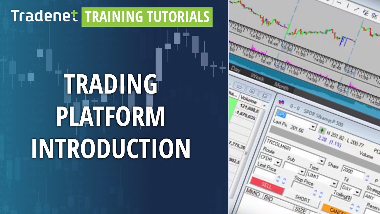 Tradenet training tutorials for the TEFS platform - Introduction - YouTube