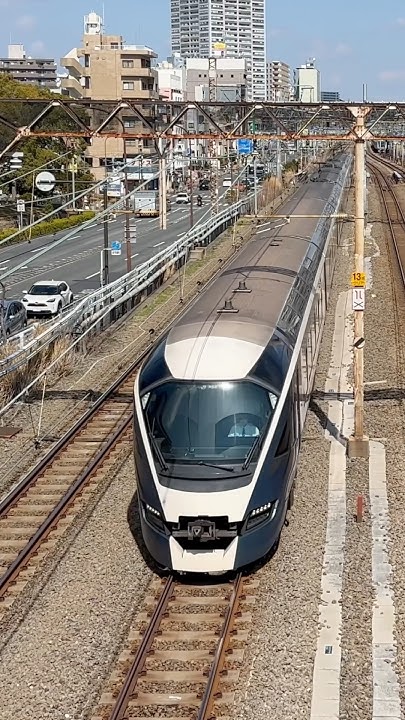 🟦E261系 サフィール踊り子 - YouTube