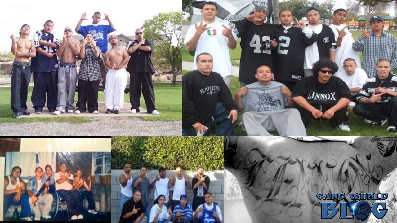 Varrio Lennox 13 Gang History Los Angeles Youtube